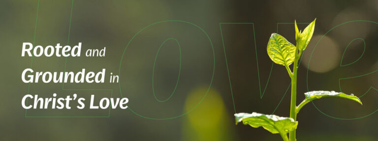 Rooted and Grounded in Christ’s Love - Berkey Avenue Mennonite ...